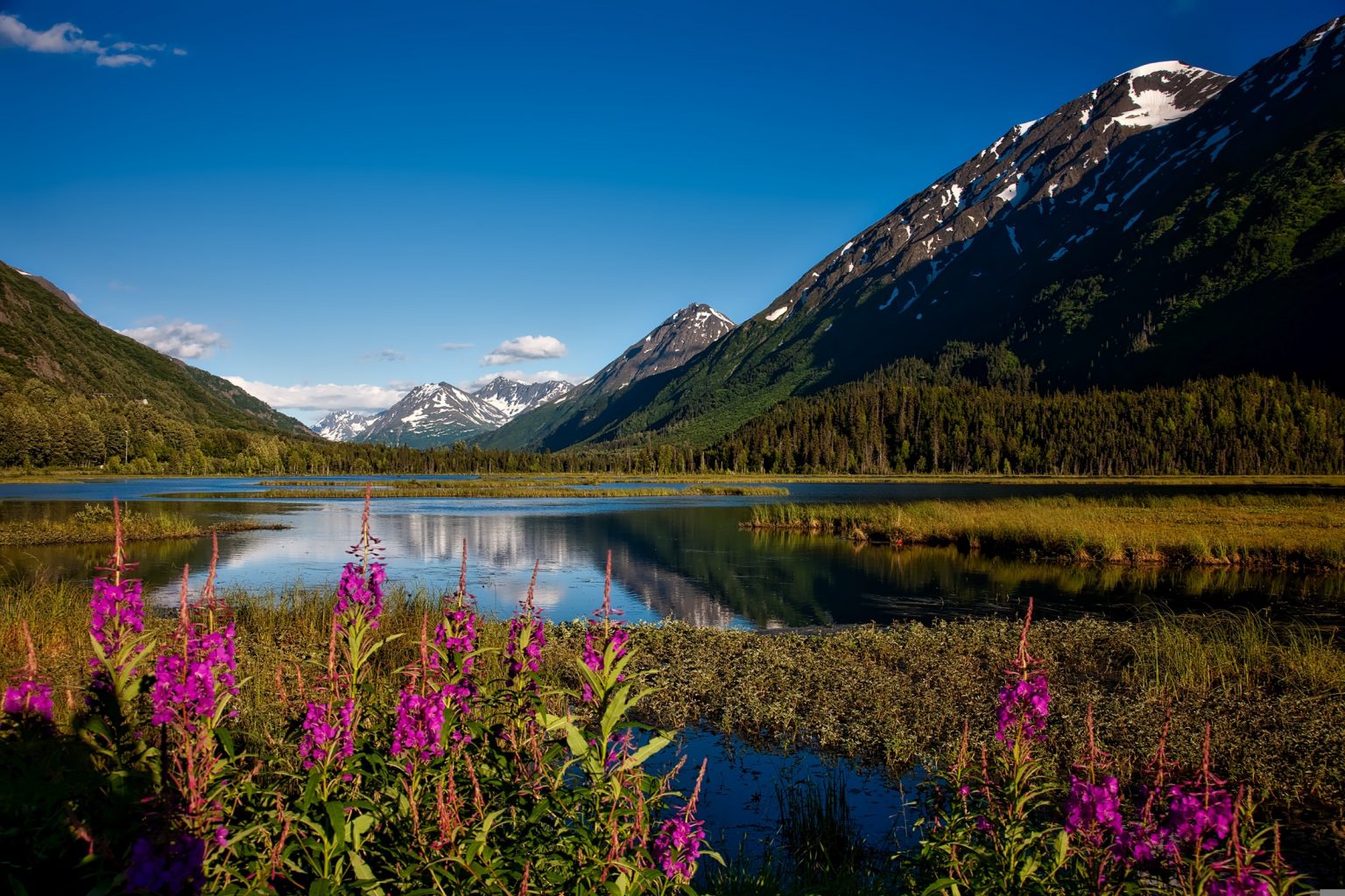 Swiped Off The Internet: Alaska – IMAO